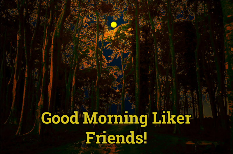 Good Morning Liker Friends! Meme Generator