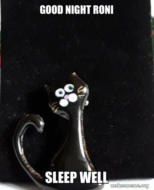 Good night roni sleep well Meme Generator