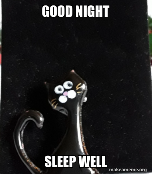 Good night sleep well Meme Generator