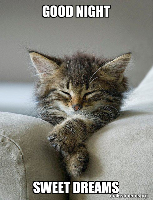 Good night Sweet dreams Meme Generator