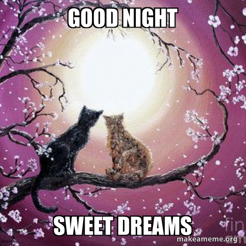 good night sweet dreams Meme Generator