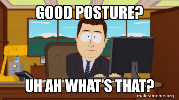 Good posture? Uh ah whatâ€™s that? - aaaand its gone Meme Generator
