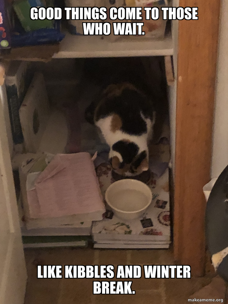 Good things come to those who wait. Like kibbles and winter break. Meme ...