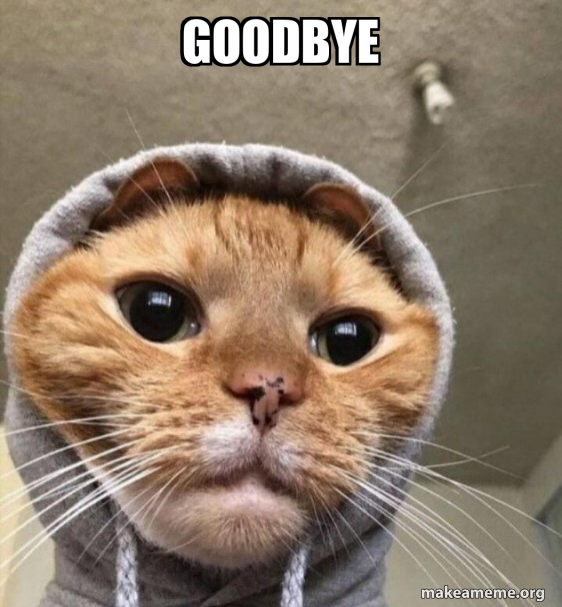 Goodbye Meme Generator