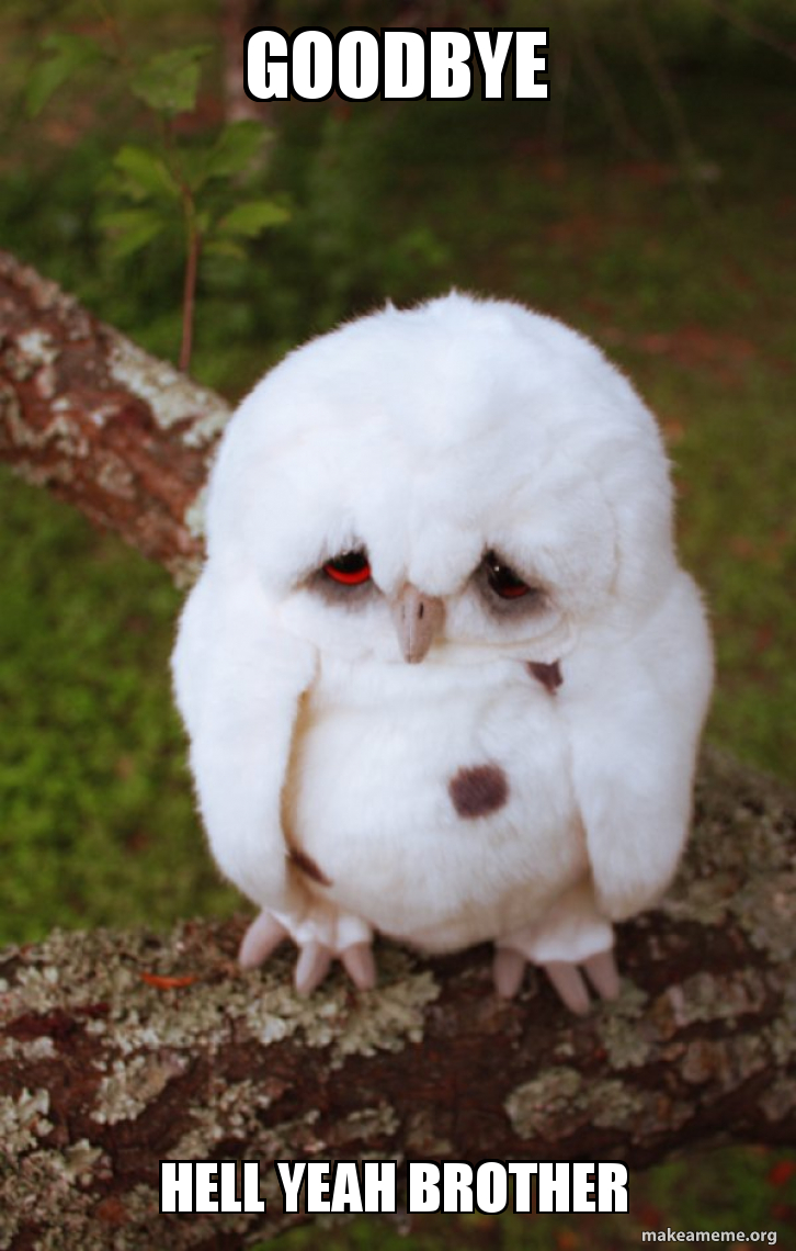 Goodbye Hell yeah Brother - Sad Owl Meme Generator