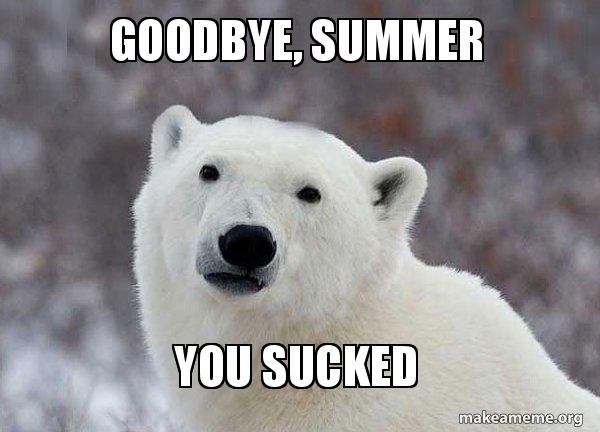 Goodbye, summer You sucked - Popular Opinion Polar Bear Meme Generator