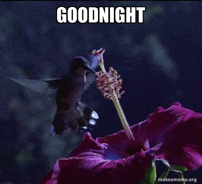 Goodnight Meme Generator