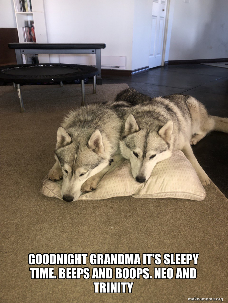 Goodnight Grandma It's Sleepy Time. Beeps and Boops. Neo and Trinity ...