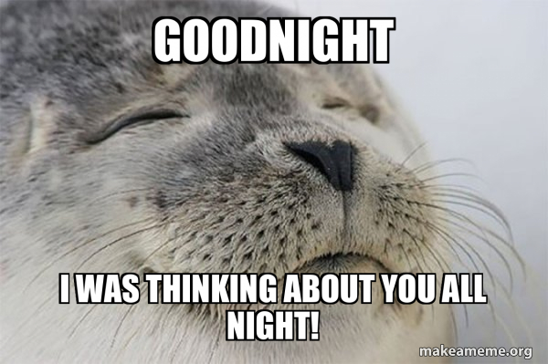 Goodnight I was thinking about you all night! - Satisfied Seal Meme ...