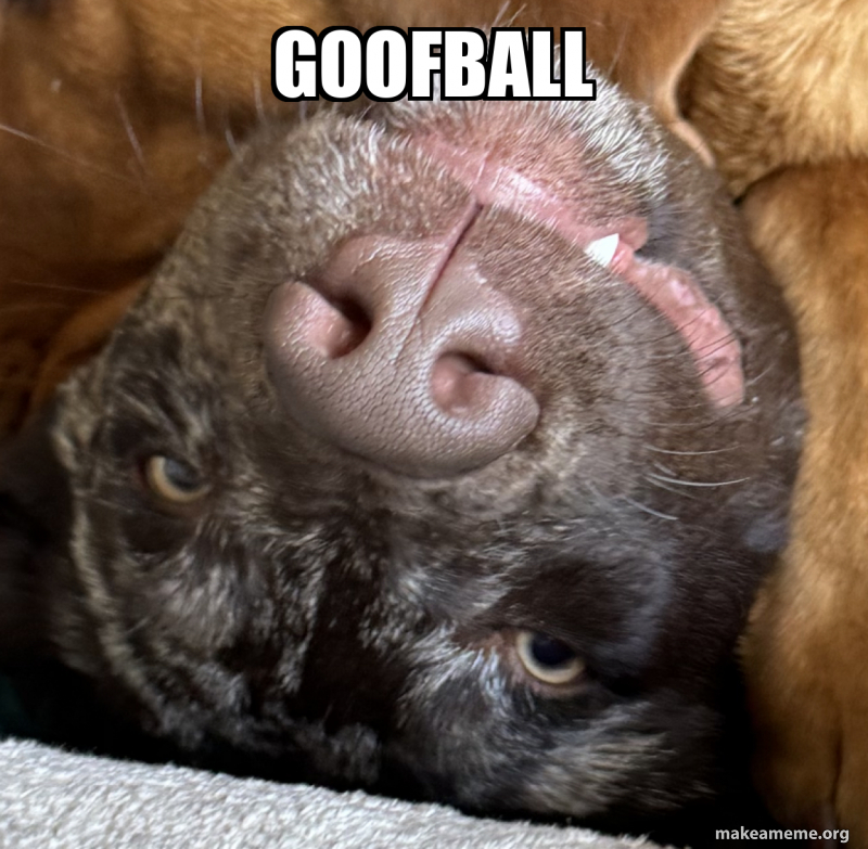 Goofball Meme Generator