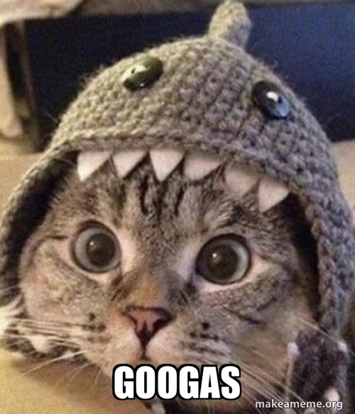 googas Meme Generator