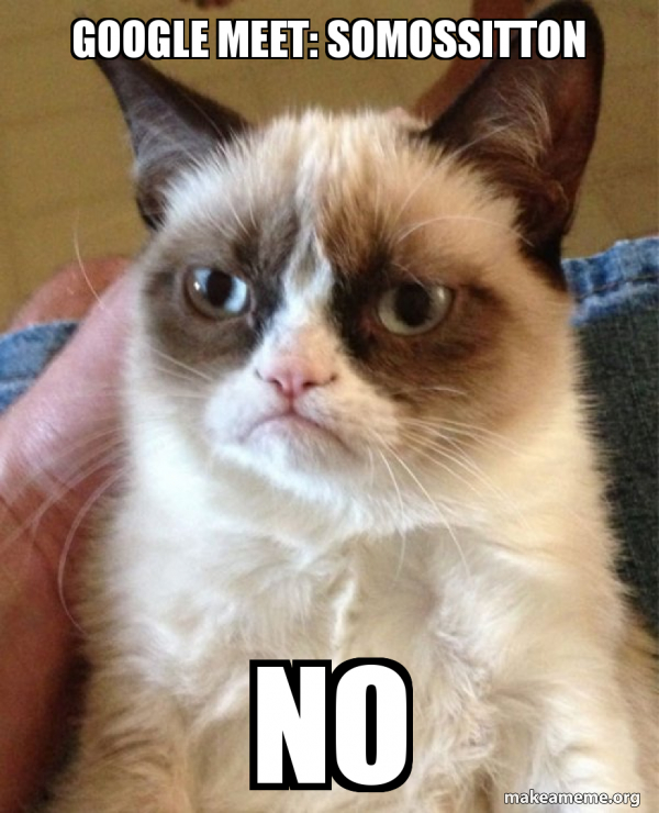 Google Meet: somossitton No - Grumpy Cat Meme Generator