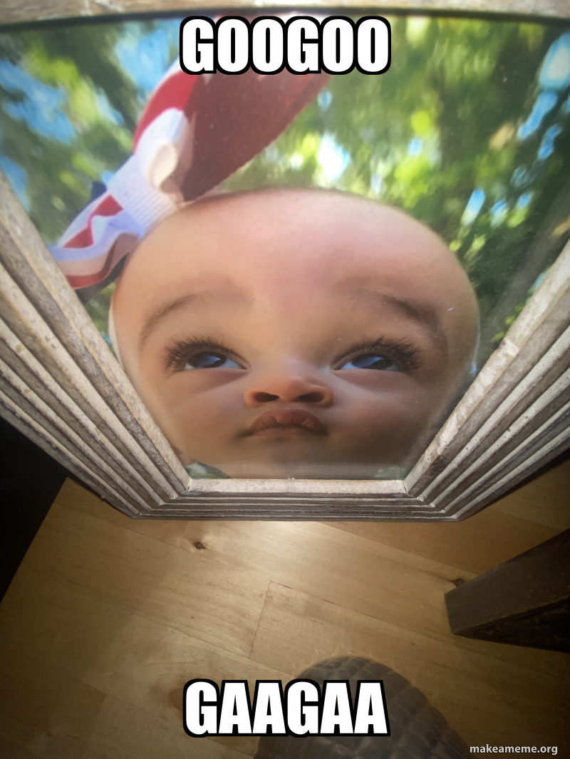 Googoo Gaagaa Meme Generator