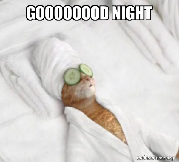 goooooood night - Pampered Cat Meme Meme Generator