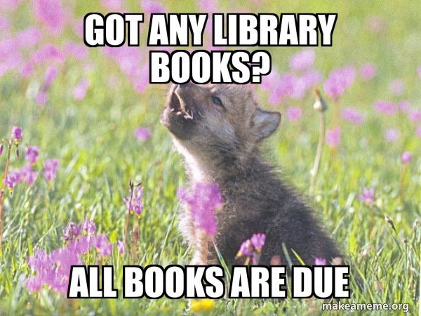 Got any Library Books? All Books are Due - Baby Insanity Wolf Meme ...