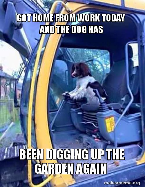 Got home from work today And the dog has Been digging up the garden ...