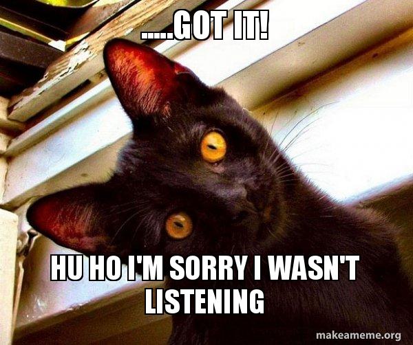 got it! hu ho I'm sorry i wasn't listening - Overly Attached Cat Meme ...