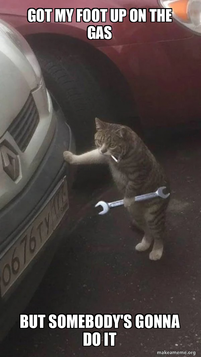 Got my foot up on the gas But somebody's gonna do it - Mechanic Cat ...