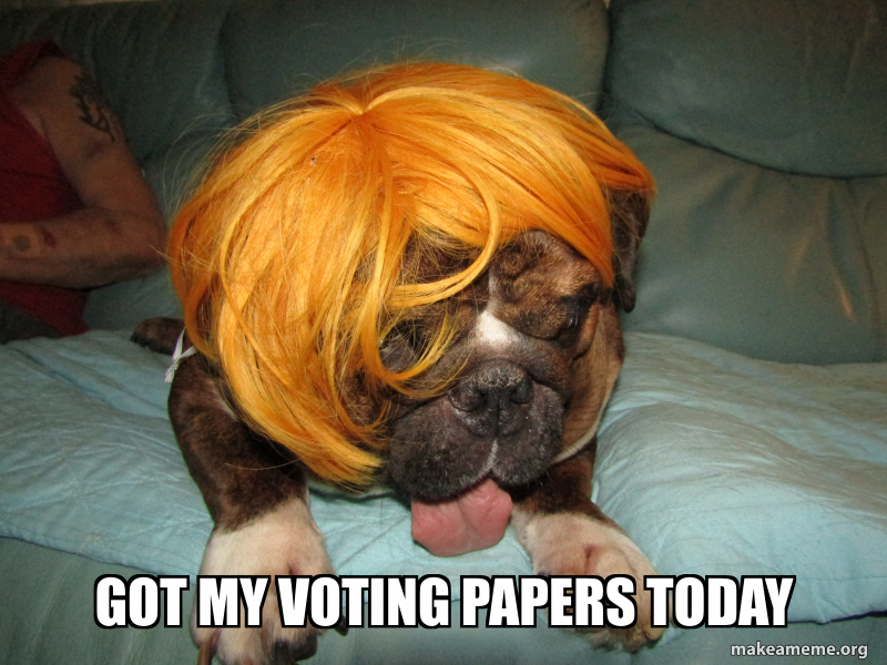 got my voting papers today Meme Generator