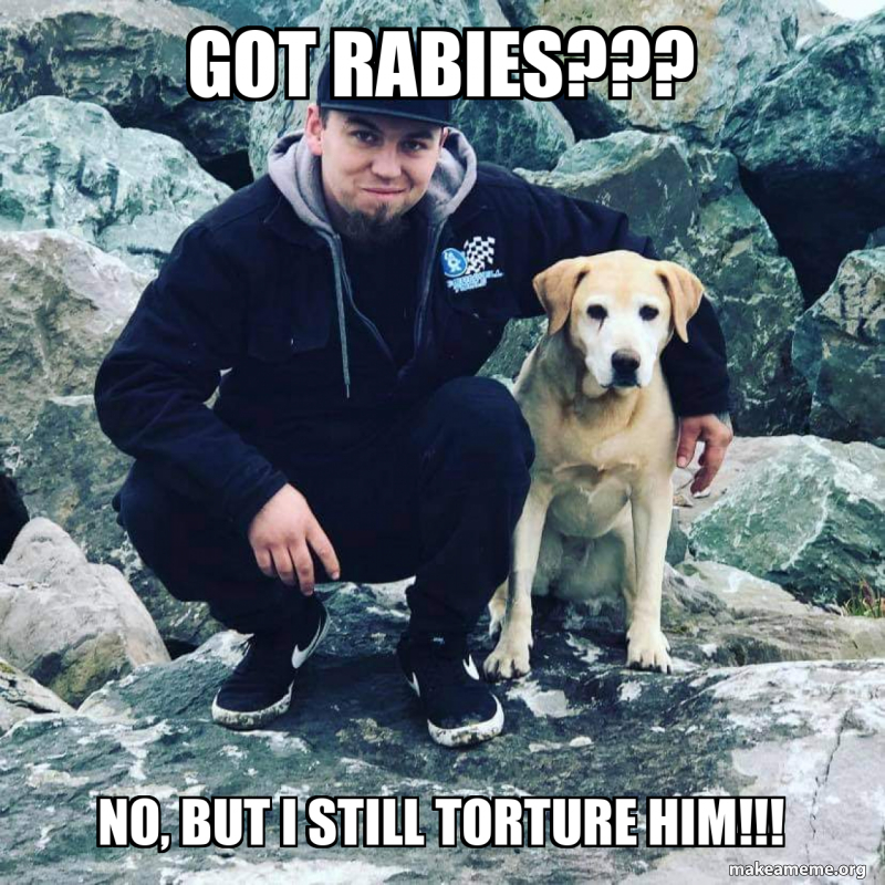 Got Rabies??? No, but I still torture him!!! Meme Generator