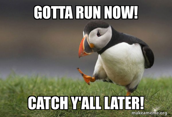 Gotta run now! Catch y'all later! - Unpopular Opinion Puffin Meme Generator
