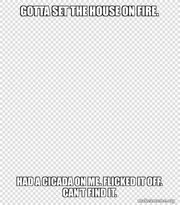 Gotta set the house on fire. Had a cicada on me. Flicked it off. Can't ...