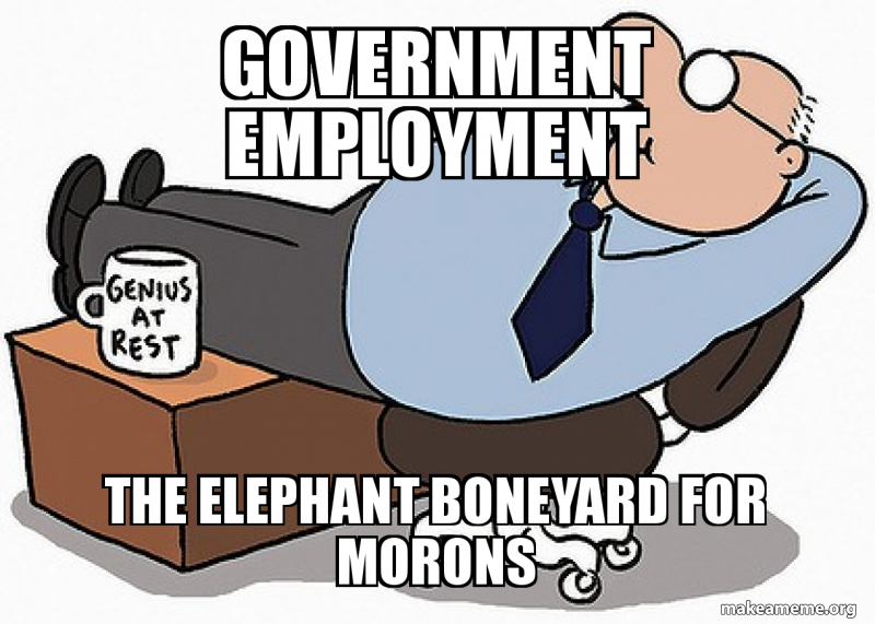 Government employment The elephant boneyard for morons Meme Generator