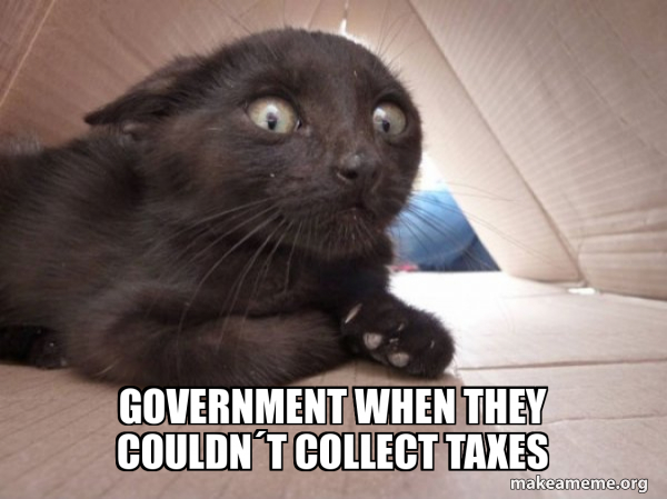 Government when they couldn´t collect taxes - Schitzo Cat Meme Generator