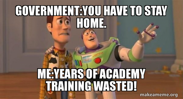 government:you have to stay home. me:years of academy training wasted ...