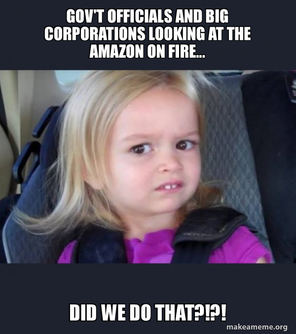 gov't officials and big corporations looking at the amazon on fire ...