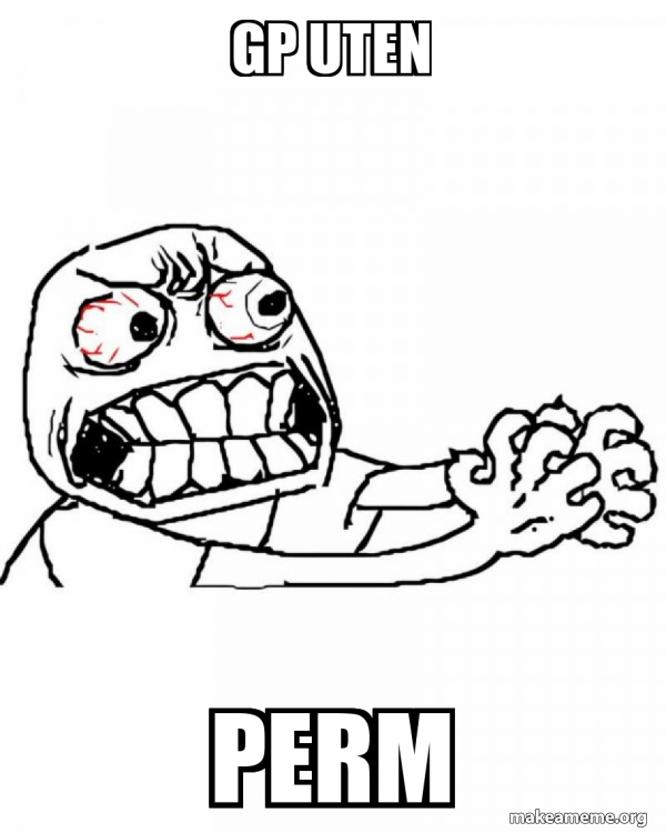 GP uten PERM - Angry Meme Generator