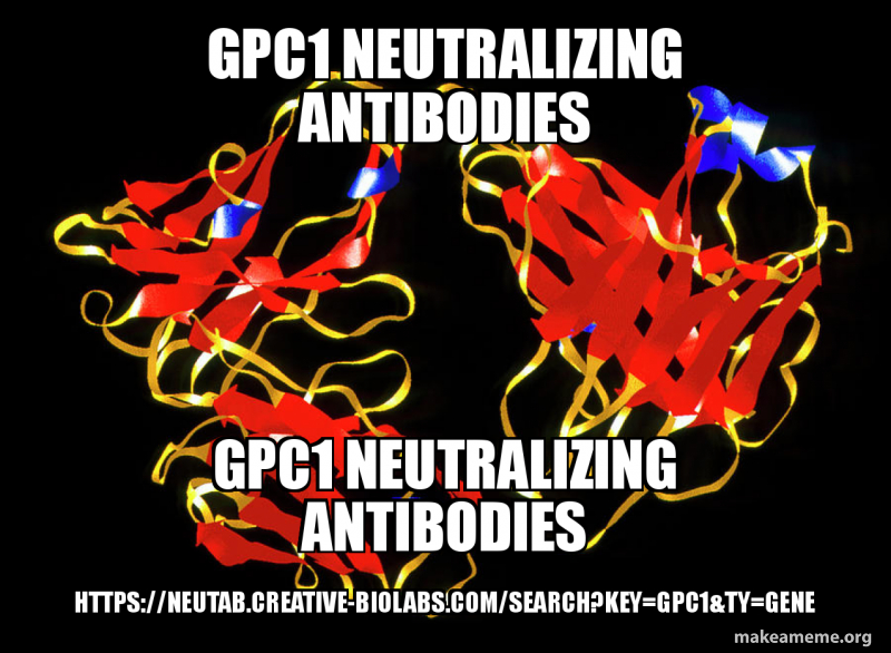 GPC1 neutralizing antibodies GPC1 neutralizing antibodies https ...