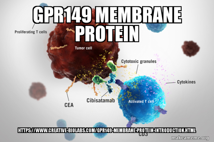 GPR149 Membrane Protein https://www.creative-biolabs.com/gpr149 ...