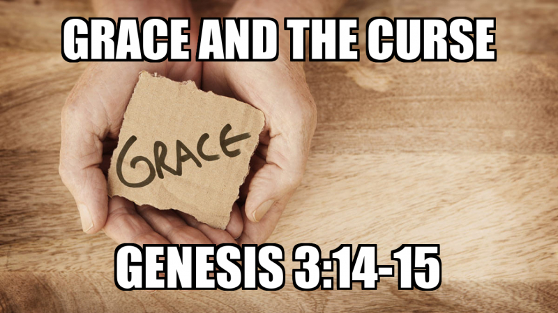 grace and the curse genesis 3:14-15 Meme Generator