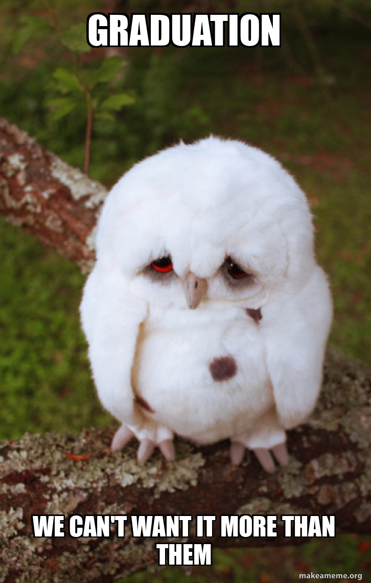 Graduation We can't want it more than them - Sad Owl Meme Generator