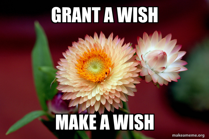Grant a wish Make a wish Meme Generator