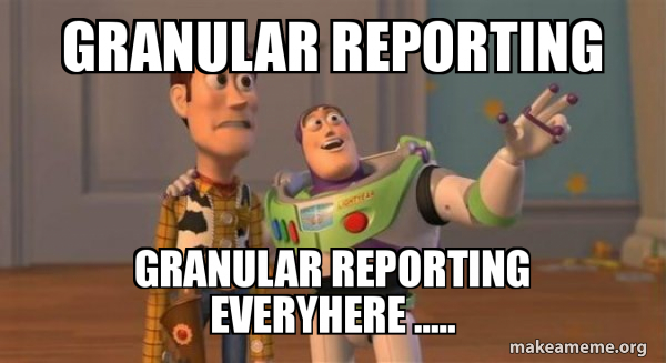 granular reporting granular reporting everyhere ..... - Buzz and Woody ...