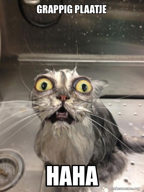 grappig plaatje haha - Cat bath Meme Generator
