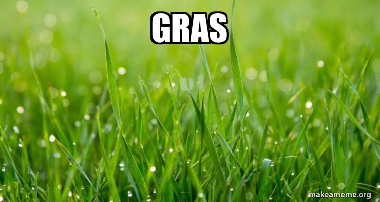 Gras Meme Generator
