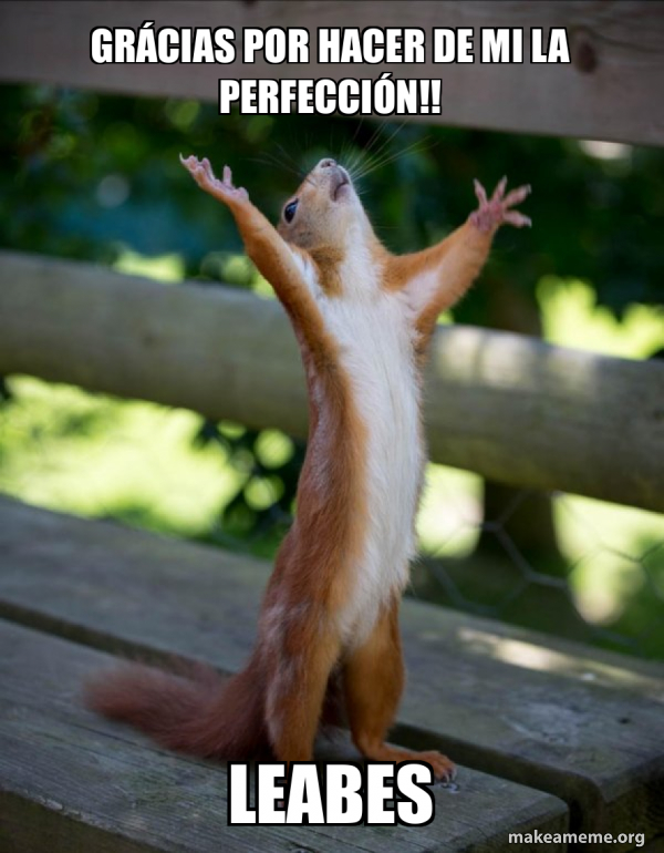 Grácias por hacer de mi la perfección!! Leabes - Happy Squirrel Meme ...