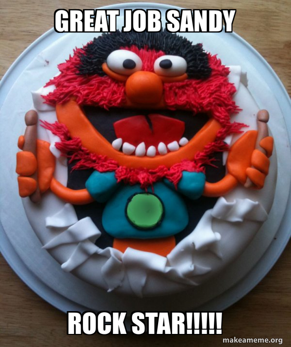 Great Job Sandy ROCK STAR!!!!! - Cake Day Meme Generator