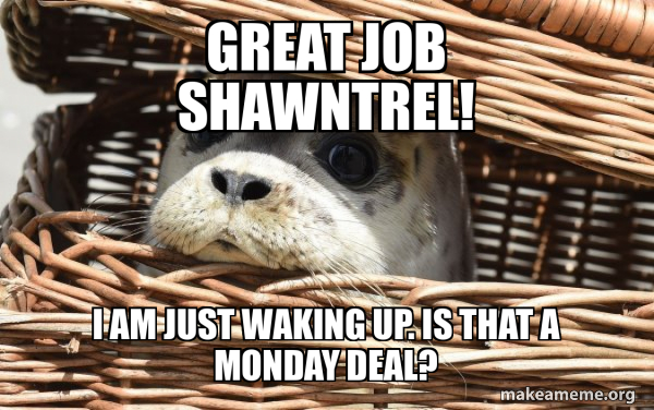 Great job Shawntrel! I am just waking up. Is that a Monday deal ...