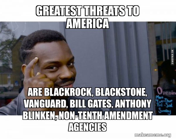 GREATEST THREATS TO AMERICA ARE BLACKROCK, BLACKSTONE, VANGUARD, BILL ...