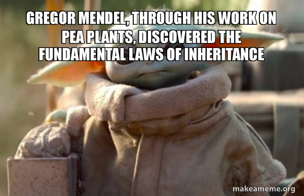 Mendel Memes Only In America, Right Guys? Imgflip