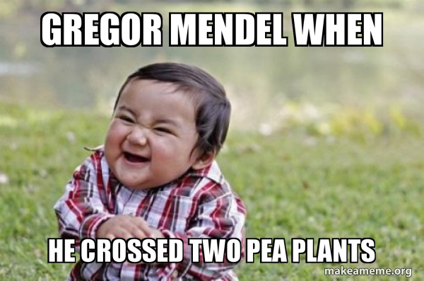 Gregor Mendel when He crossed two pea plants - Evil, scheming toddler ...