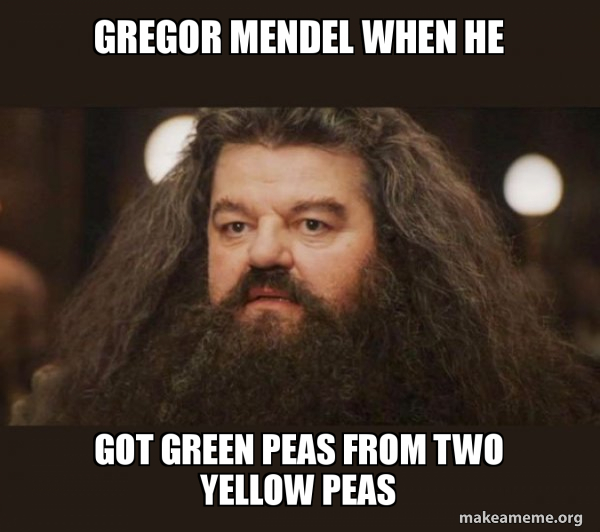 Gregor Mendel when he Got green peas from two yellow peas - Hagrid - I ...
