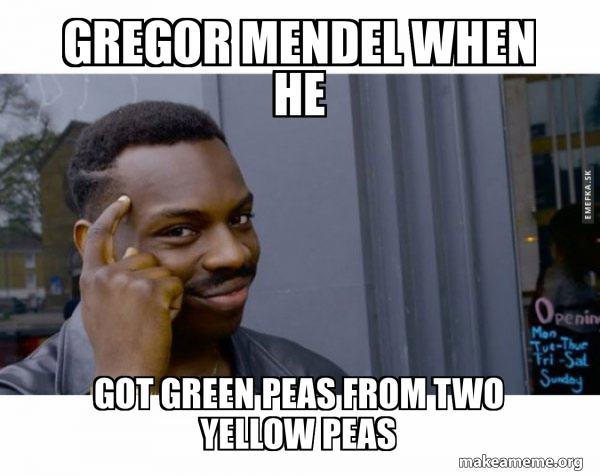 GREGOR MENDEL WHEN HE GOT GREEN PEAS FROM TWO YELLOW PEAS - Roll Safe ...