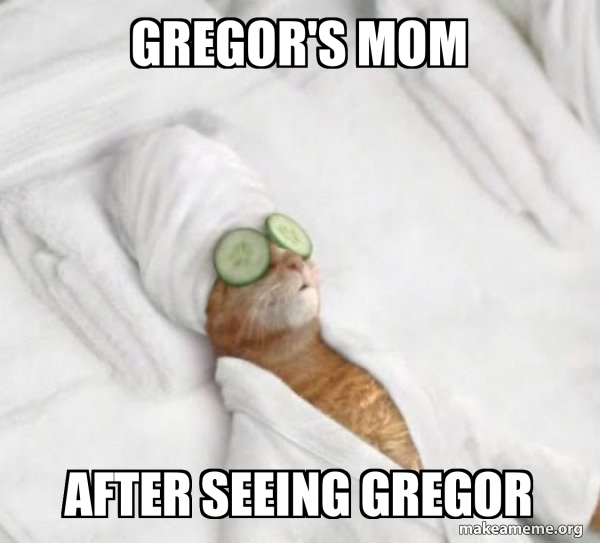Gregor's Mom After seeing gregor - Pampered Cat Meme Meme Generator