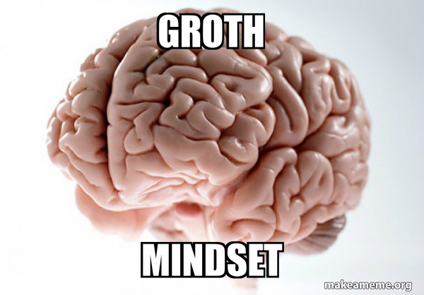 groth mindset - Scumbag Brain Meme Generator