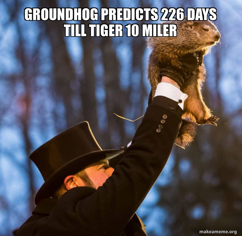 Groundhog predicts 226 days till tiger 10 miler Meme Generator